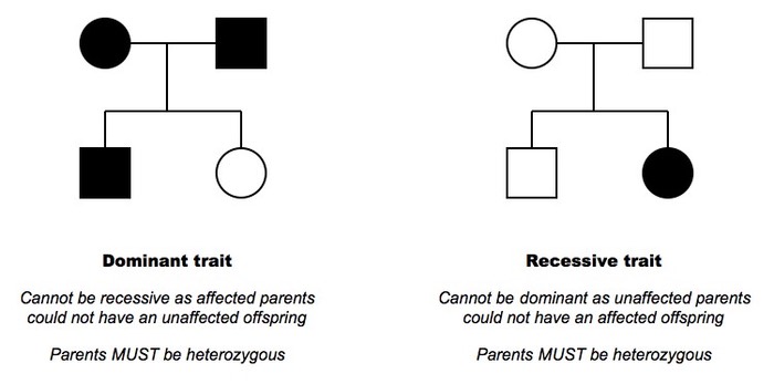 How Could We Know Whether A Trait Is Autosomal Or Sex Linked By Free How Could We Know Whether A Trait Is Autosomal Or Sex Linked By Free